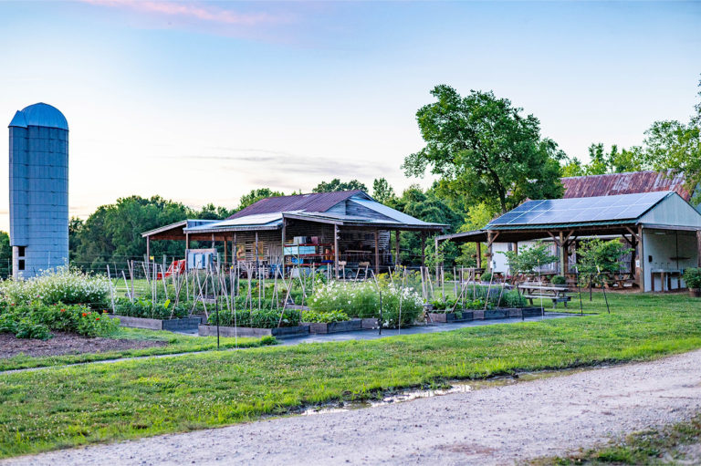 Our Farms | Shalom Farms