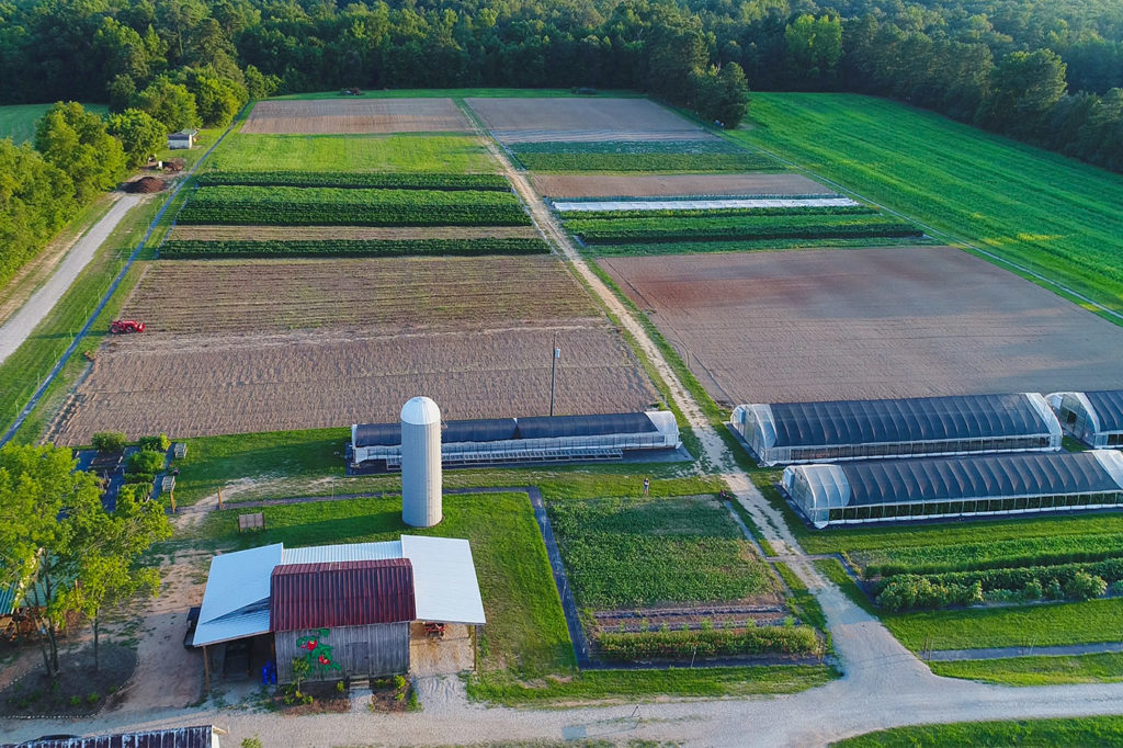 Our Farms | Shalom Farms