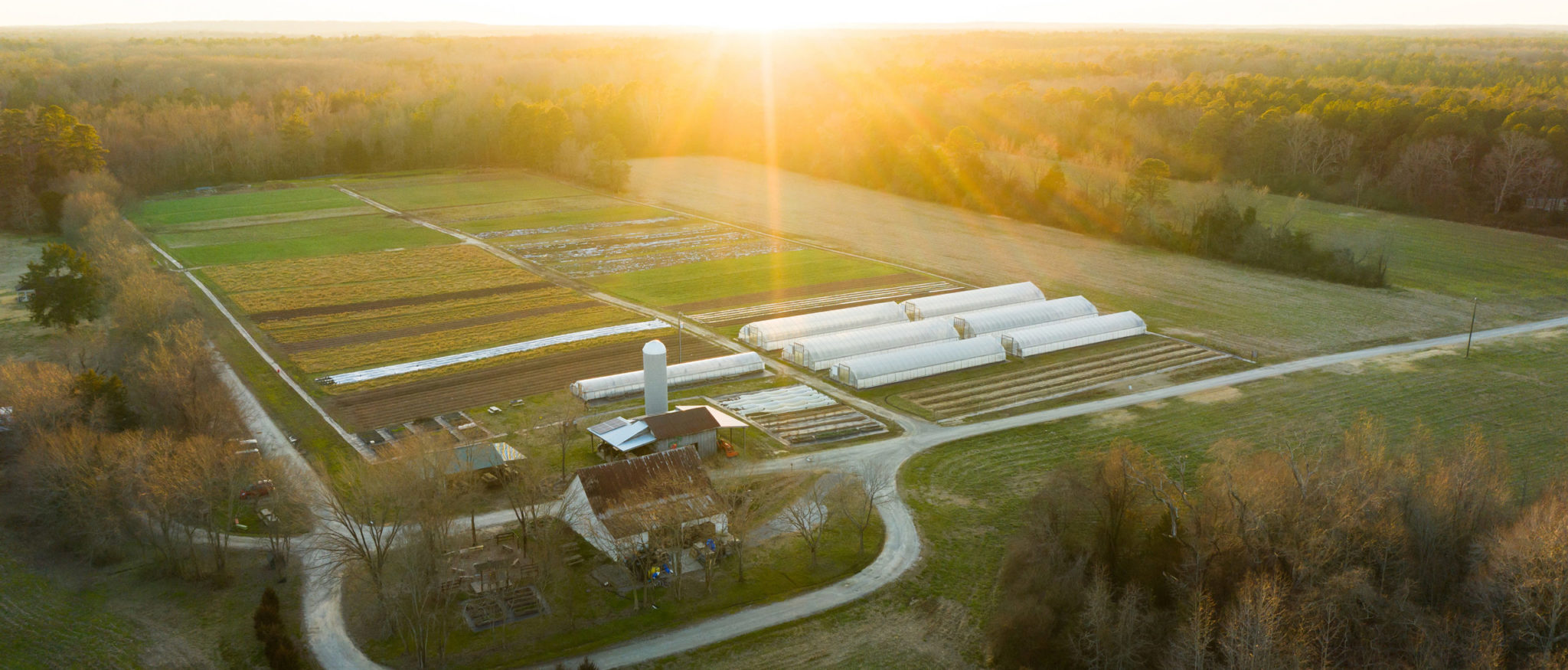 Fresh Produce for All | Shalom Farms