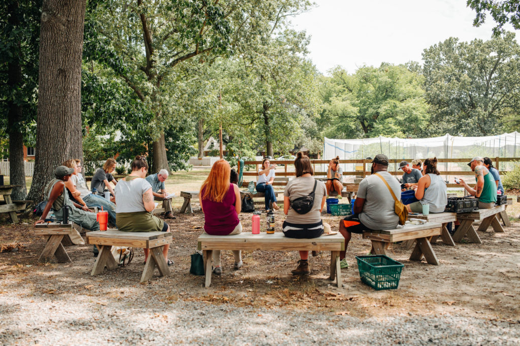 Visit Our Farms | Shalom Farms