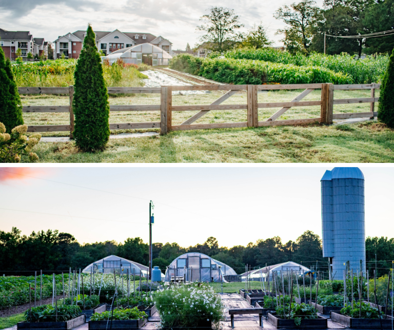 Visit Our Farms | Shalom Farms