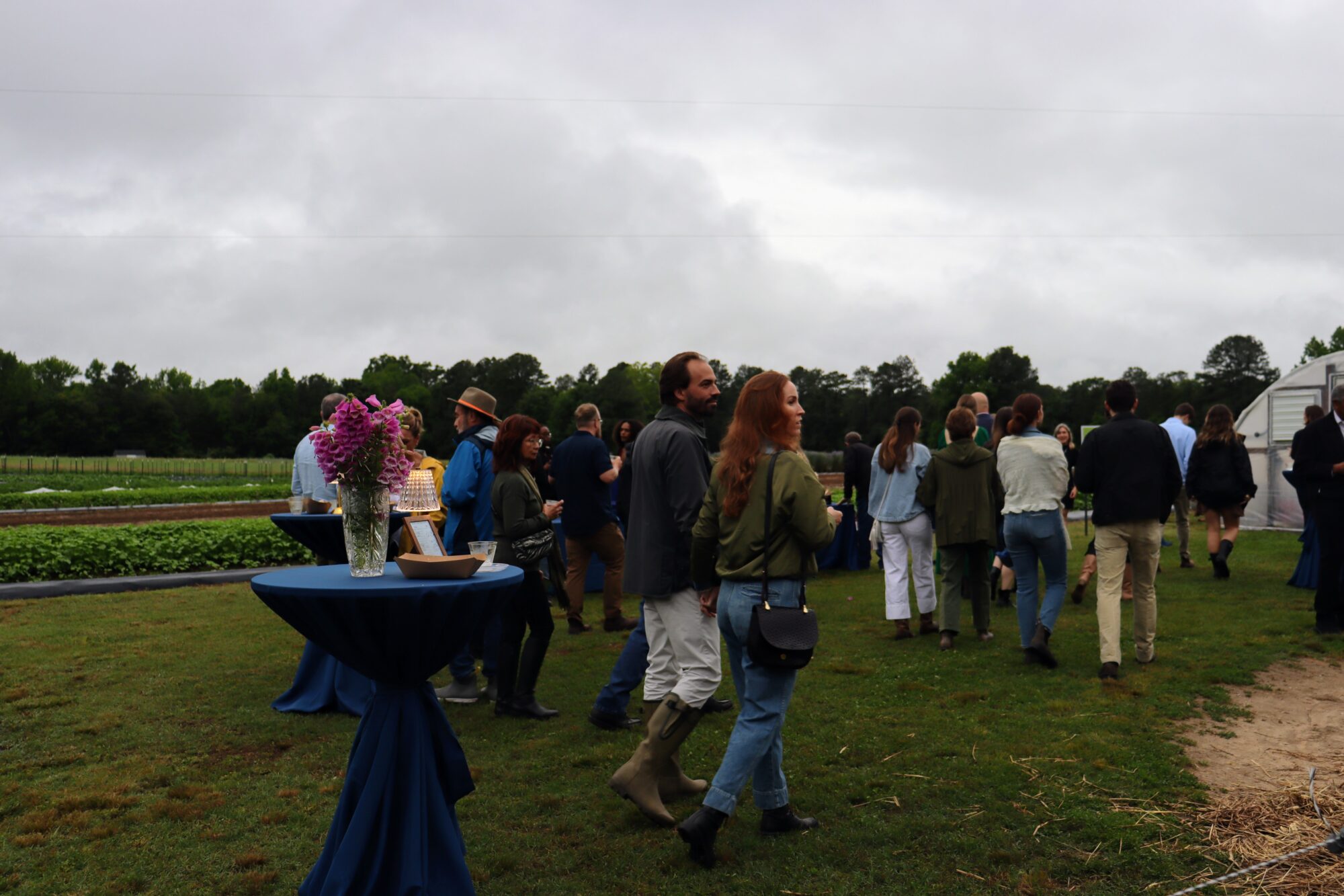 Savor Shalom | Shalom Farms